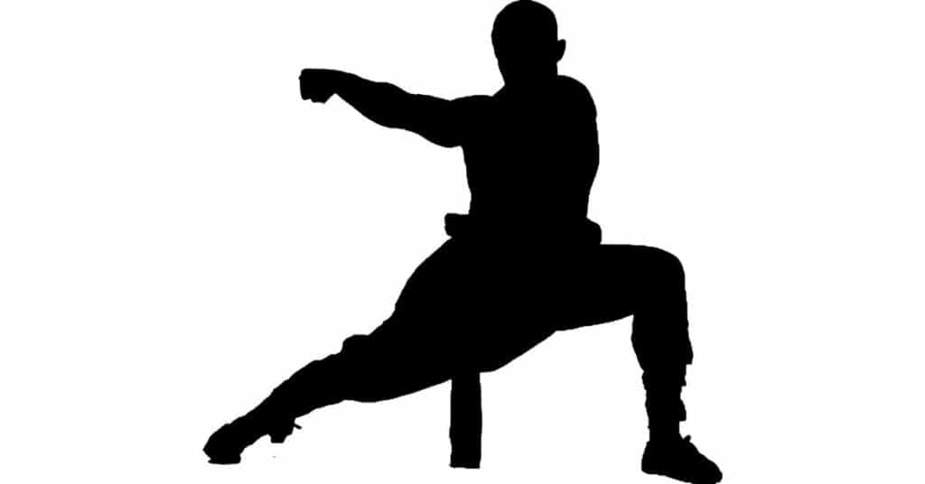 5 Reasons You Should Learn Kung Fu A Helpful Guide Blinklift